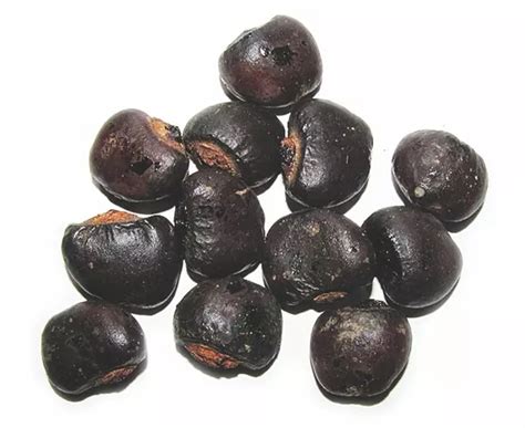 11 Semecarpus Anacardium Benefits According To Research