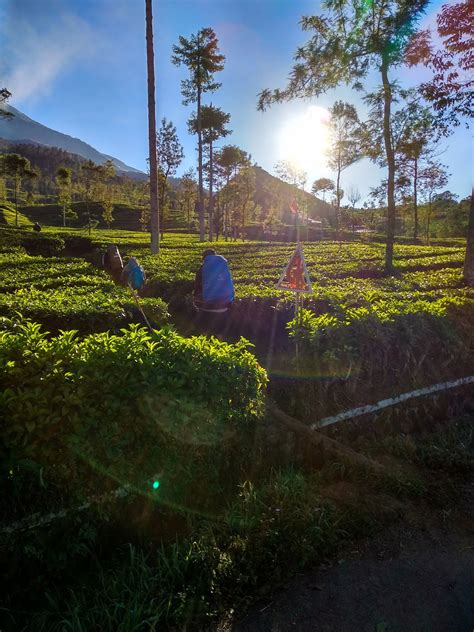 Jalur Pendakian Gunung Kembang Catatan Harian Keong