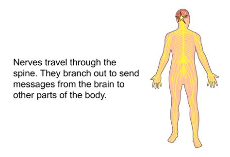 Occipital Nerve Block