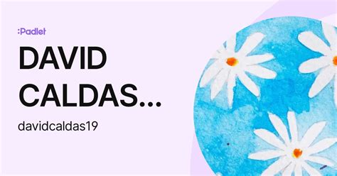 David Caldas Bechara Davidcaldas19 Profile Padlet