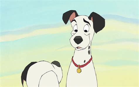Pongo Wallpapers Wallpaper Cave