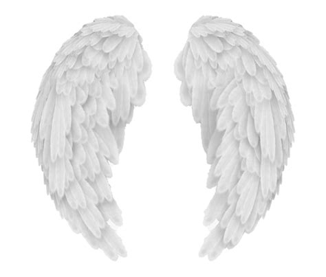Free Download Hd Png Alas De Angel Dibujos De Alas De