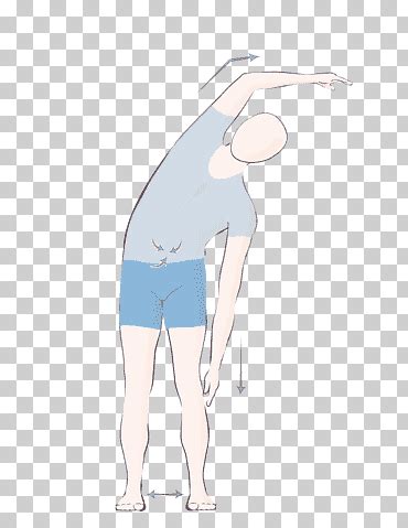 Nearback Png Klipartz