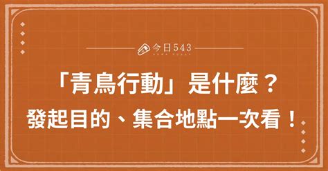 青鳥行動是什麼發起目的集合地點一次看