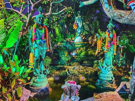 โคกหนองนาเดอะ โคกหนองนาเดอะซีรี่ส์ผมทำเกษตรอินทรีย์นะครับ