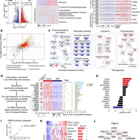Integrated Multi Omics Features In Tumor Tissues Compared With Nats Of