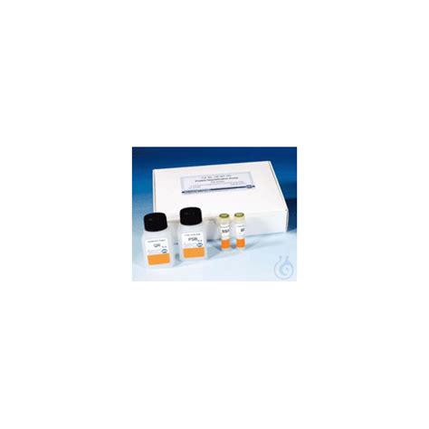 Protein Quantification Assay 250 93 60