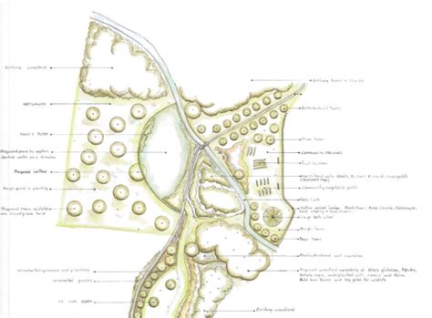 Biodiversity Net Gain Planning Direct