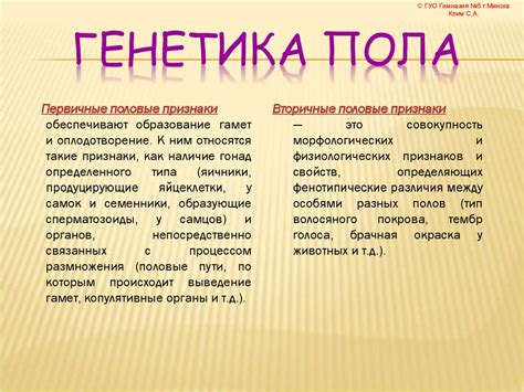 Генетика пола презентация онлайн