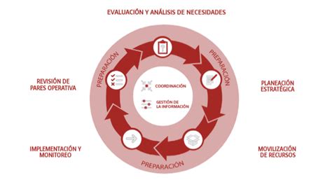 Ciclo Del Programa Humanitario Genially