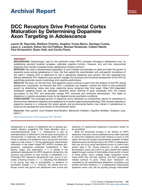 Dcc Receptors Drive Prefrontal Cortex Maturation By Determining