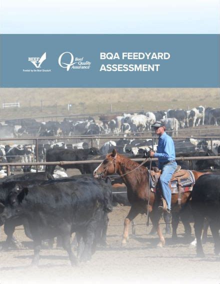 Templates And Assessments
