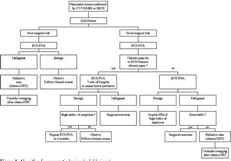 Figure 1 From Defining The Diagnostic Algorithm In Pancreatic Cancer Semantic Scholar