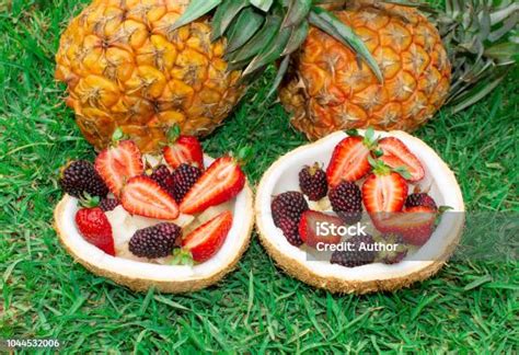 과일 샐러드 딸기 딸기 블랙베리 파인애플 코코넛 에 녹색 잔디 아직도 인생입니다 클로즈업입니다 0명에 대한 스톡 사진 및 기타 이미지 Istock