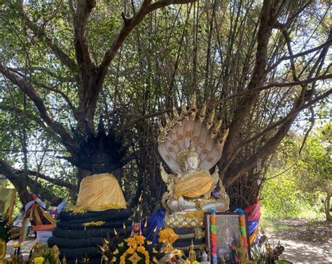 รูป หลวงปู่อือลือ เกาะดอนโพธิ์ บึงโขงหลง บึงกาฬ Wongnai