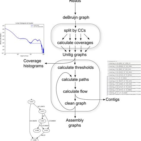 The Adapted Dijkstra Algorithm Used In Haploflow To Find Fattest Paths