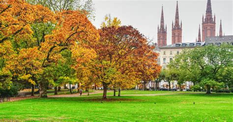 One Day Groningen Itinerary Zimmin Around The World