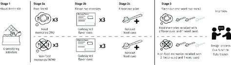Method Diagram Showing Stage 1 Visual Probe Kit Stage 2 Free Recall