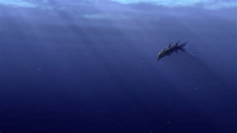 Viewpoint In Finding Nemo David DeLiema