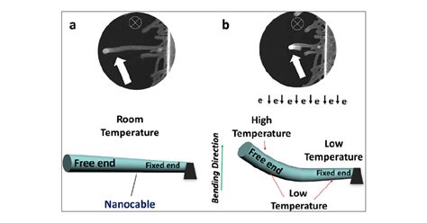 Experimental Evidence Of Negative Thermal Expansion In A Composite