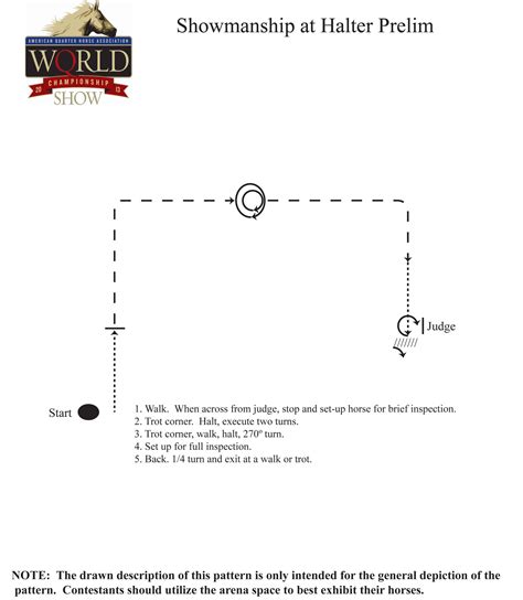 Try This Showmanship At Halter Pattern From The 2013 Adequan Select