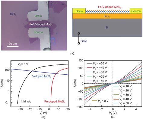 Influence Of Heteroatom Doping On The Electrical Properties A Download Scientific Diagram