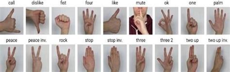 Machinelearning Ai Computervision Gesturerecognition Xgboost