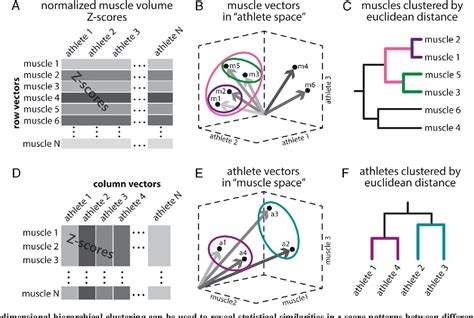Figure 1 From Athlete Muscular Phenotypes Identified And Compared With
