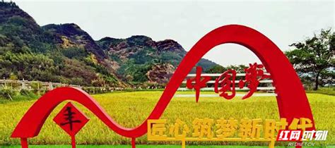 张家界芭茅稻：铺就乡村振兴新“稻”路张家界湖南频道红网