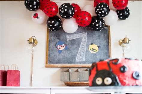 Ladybug Decorations