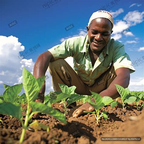 Ai创作图英美烟草技师田间指导 土地上劳动 教民耕作 庄稼人劳动 农业种植专家 土地上的劳动人民 劳动生产植物 农民经济 劳动农业生产 种植劳动 农民致富 辛勤的农民 少数民族种菜 人力种庄稼