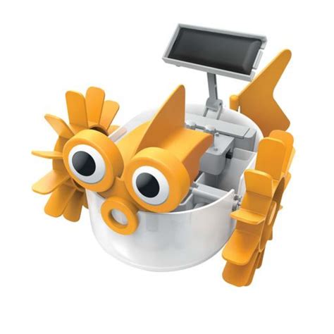 Acqua Robot A Casinha Brinquedos