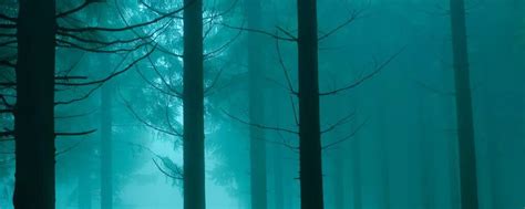 مص♫ ♫اص دماء† أبيضzavet★ ♱me椐t椐club♱4u1443♱remakeمصاص 2024 ВКонтакте