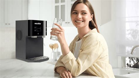 Quiénes Somos En Ecoby Soluciones Ecológicas En Canarias