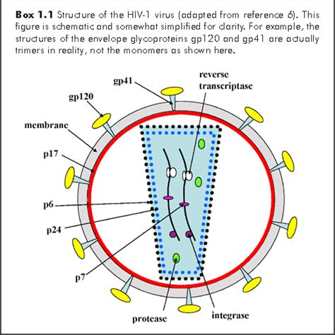 Patient Zero Aids Diagram