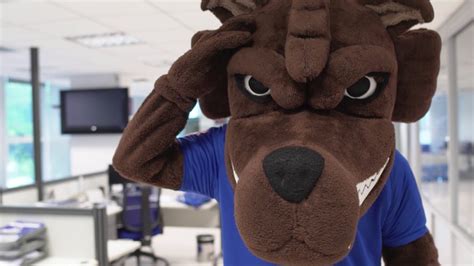 O Melhor Mascote Do Brasil Completa 14 Anos YouTube