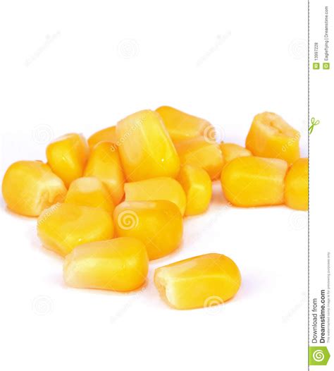 Corn Kernels Clipart Clipground