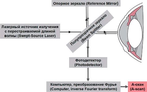 Schematic Diagram Of Swept Source Optical Coherence Tomography Download Scientific Diagram