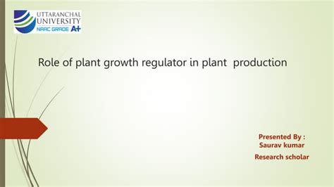 Plant Growth Regulatorpptx