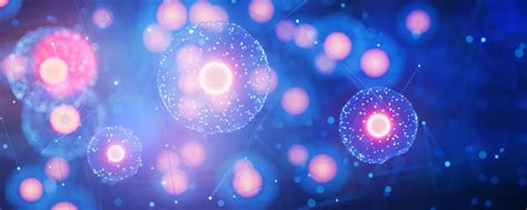 Mass Spectrometry Reveals Protein Sub Cellular Localisation African