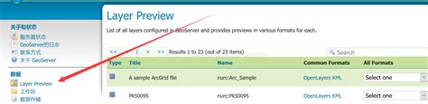 如何使用geoserver发布wms服务geoserver Wms Csdn博客
