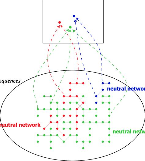 Accessibility Topology Of Shape Space In This Schematic Represen Download Scientific Diagram