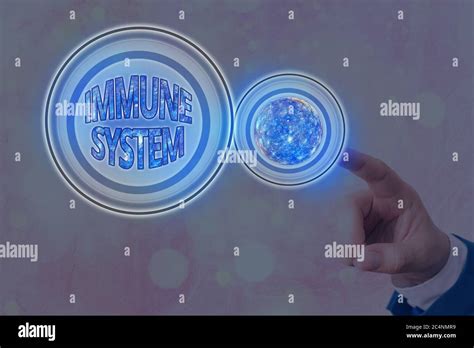 Text Sign Showing Immune System Business Photo Showcasing Complex