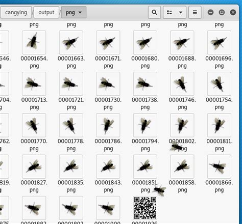 CTF bugku 分析 cat47 博客园