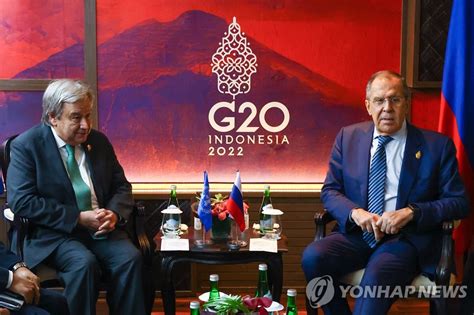 러 곡물 수출 협정 연장 청신호미·eu 장애물 제거 약속 나무뉴스