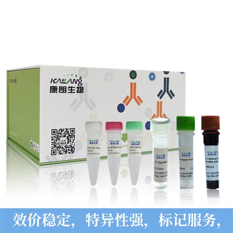 痤疮丙酸杆菌探针法荧光定量pcr试剂盒 Kl R17310c 康朗生物官方商城 康朗生物 试剂盒elisa试剂盒检测试剂盒抗体