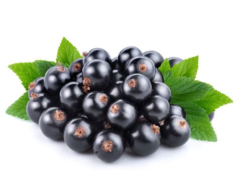 Cassis Tout Savoir Sur Un Fruit Marché Frais Marché Frais