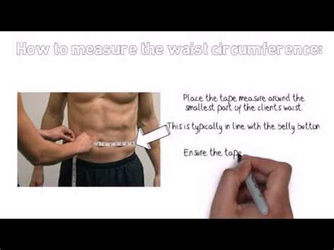 Waist To Hip Ratio Youtube