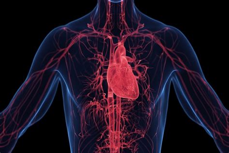 生活習慣病の予防・改善に役立つ”血管を強くする”生活 Vitamina イオン・アリアンツ生命
