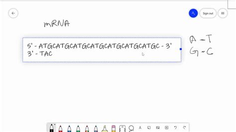Solvedif The Sequence Of The Coding Strand In A Transcription Unit Is